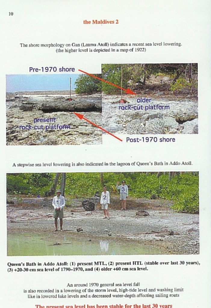 Despite popular opinion and calls to action, the Maldives are not being ...