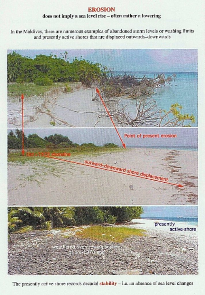 Despite popular opinion and calls to action, the Maldives are not being ...