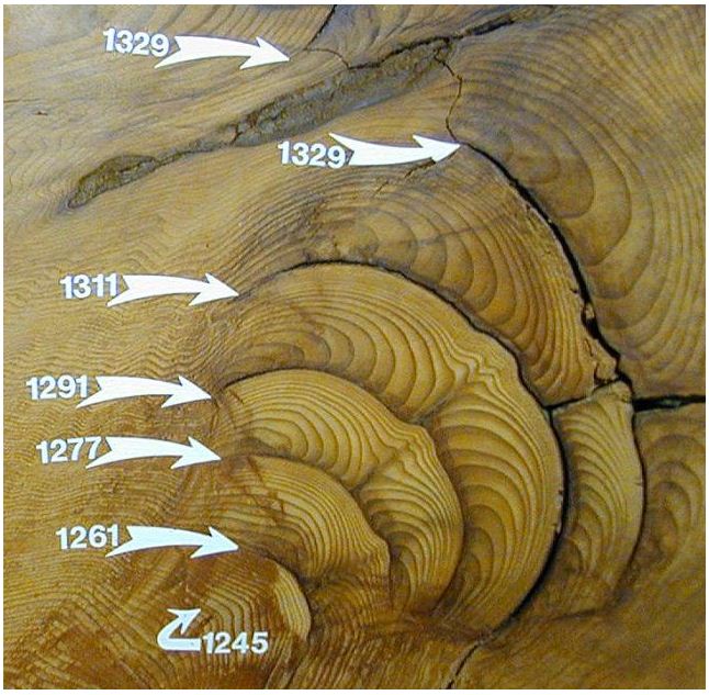 Medieval Warm Period seen in western USA tree ring fire scars • Watts ...