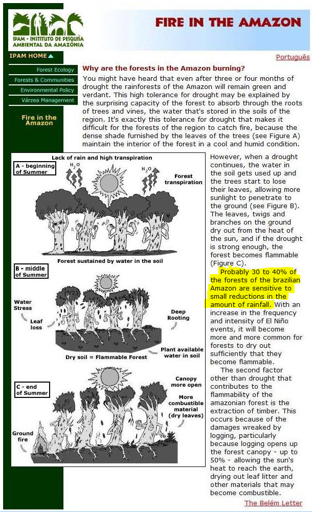 Fire_in_the_amazon – Watts Up With That?