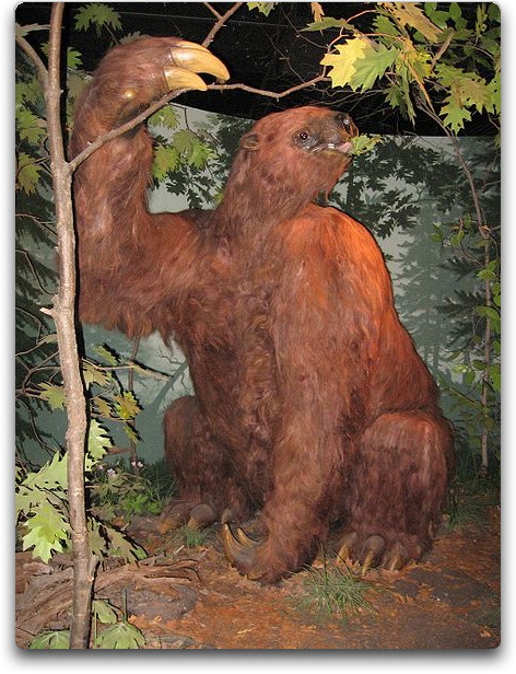 Mental Sloth and Joshua Trees – Watts Up With That?