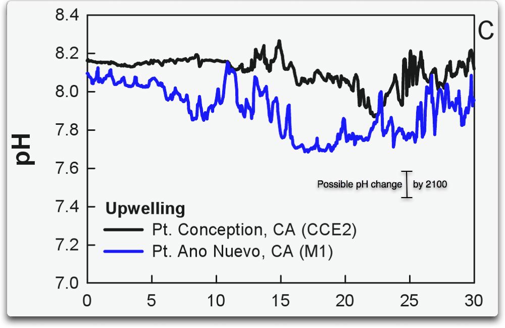 The Ocean Is Not Getting Acidified • Watts Up With That?