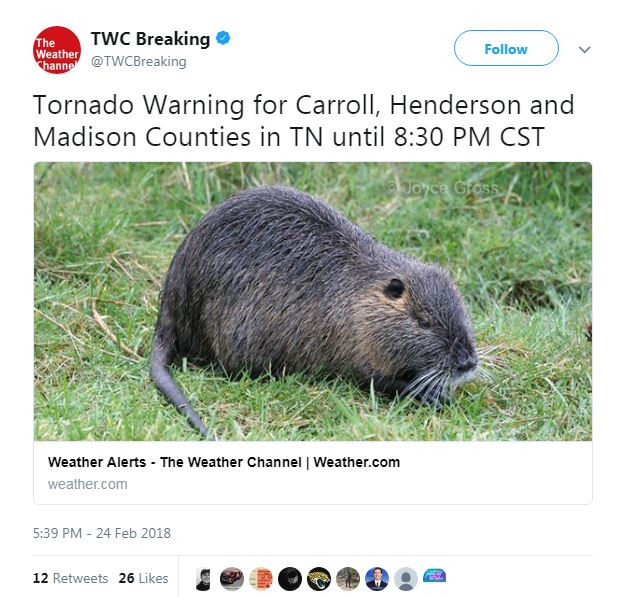 WEATHER-CHANNEL-RODENT – Watts Up With That?