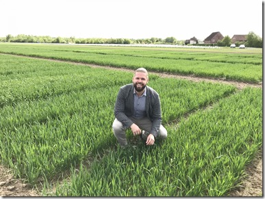 Wheat myth debunked – Watts Up With That?