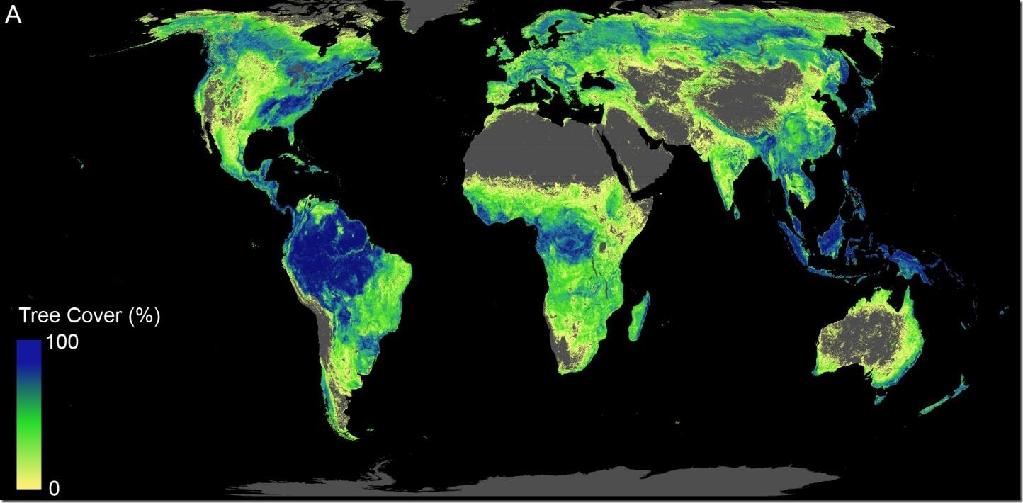 How trees could save the climate – Watts Up With That?