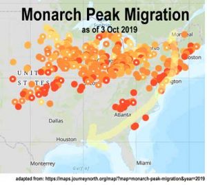 Monarch Migration: 2019 – Watts Up With That?