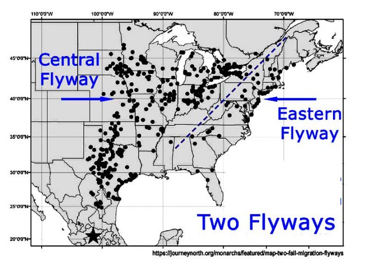 Monarch Migration: 2019 - Watts Up With That?