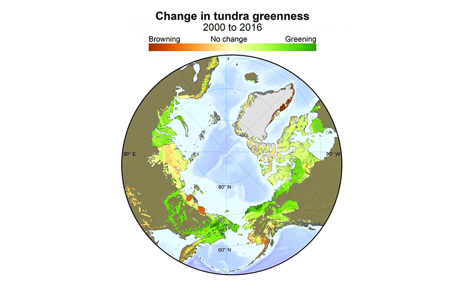 Global change ecologist leads NASA satellite study of rapid greening ...