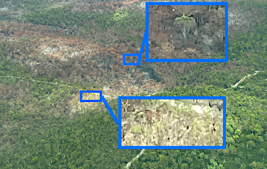 Fraser Island Regenerating – Watts Up With That?