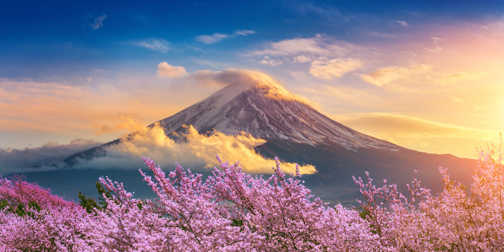 Fuji mountain and cherry blossoms in spring, Japan. – Watts Up With That?