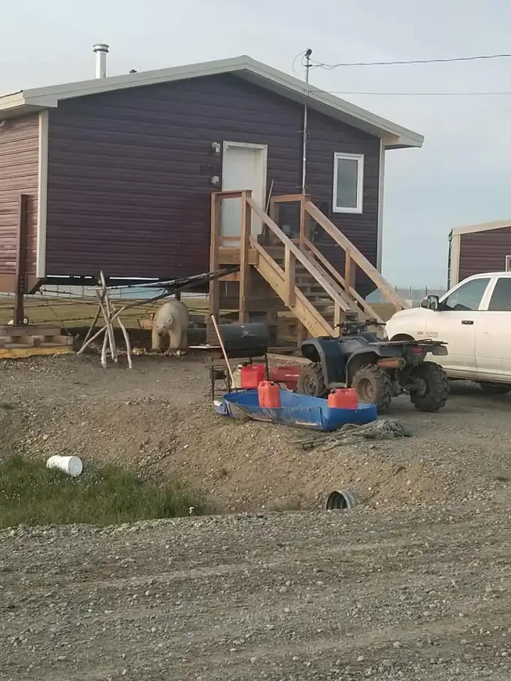 kaktovik-visitor-2-aug-2019_irene-bower-photo-from-facebook – Watts Up ...