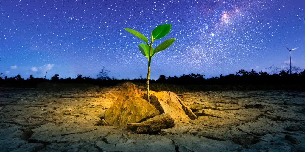 New Study Concludes: If We Artificially Raise the Cost of Fertilizers ...