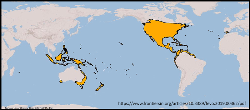 Monarch Update: Early Spring 2023 - Watts Up With That?