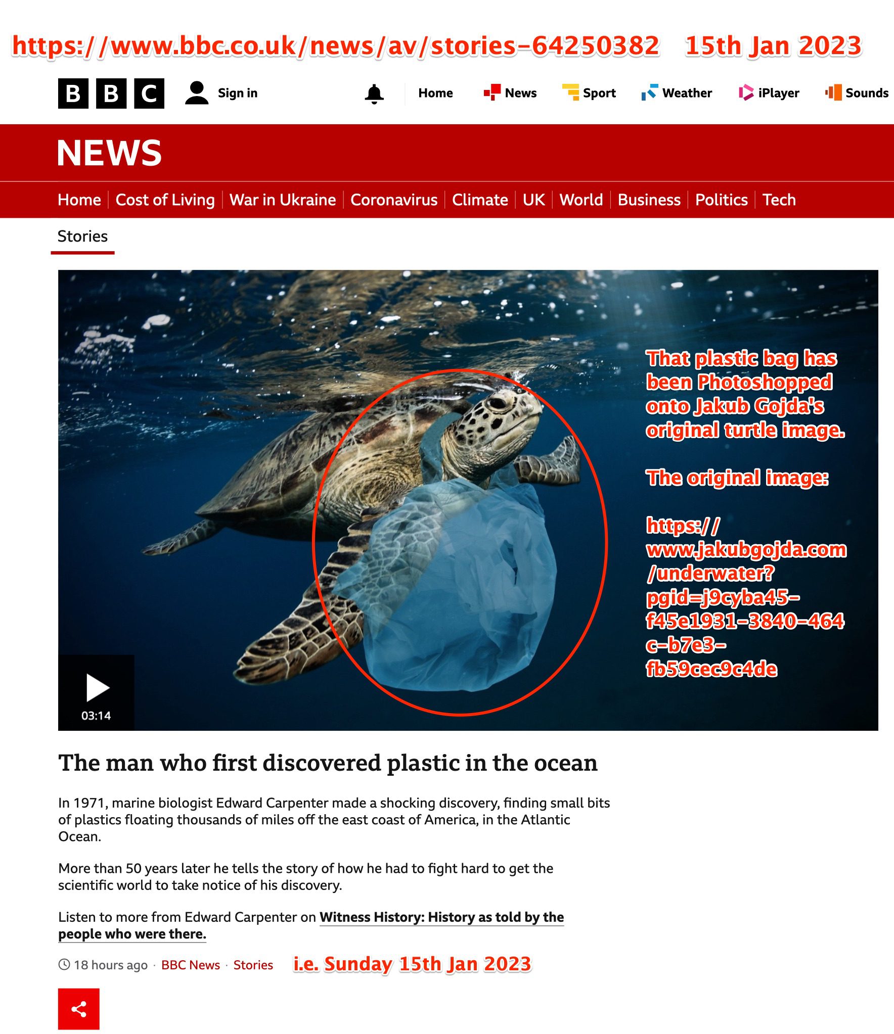 BBC Turtle ECUThe_man_who_first_discovered_plastic_in_the_ocean_-_BBC ...