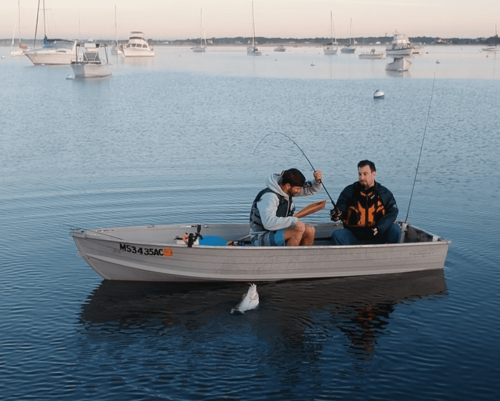 fluke-fishing-from-a-row-boat-on-cape-cod – Watts Up With That?