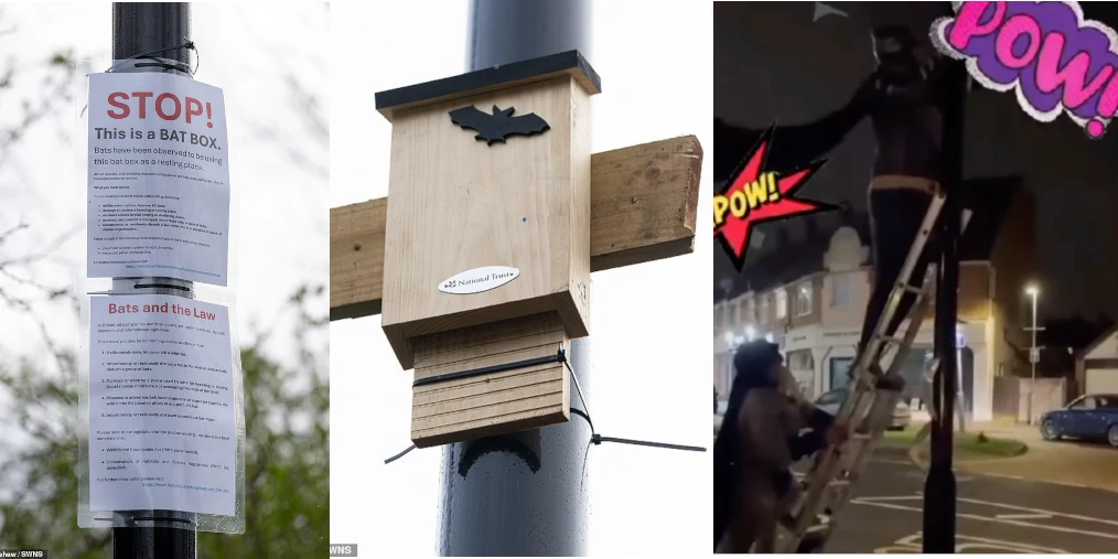 Anti-ULEZ Bat Box – Watts Up With That?