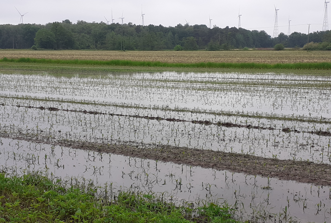 Drought-D_1 – Watts Up With That?