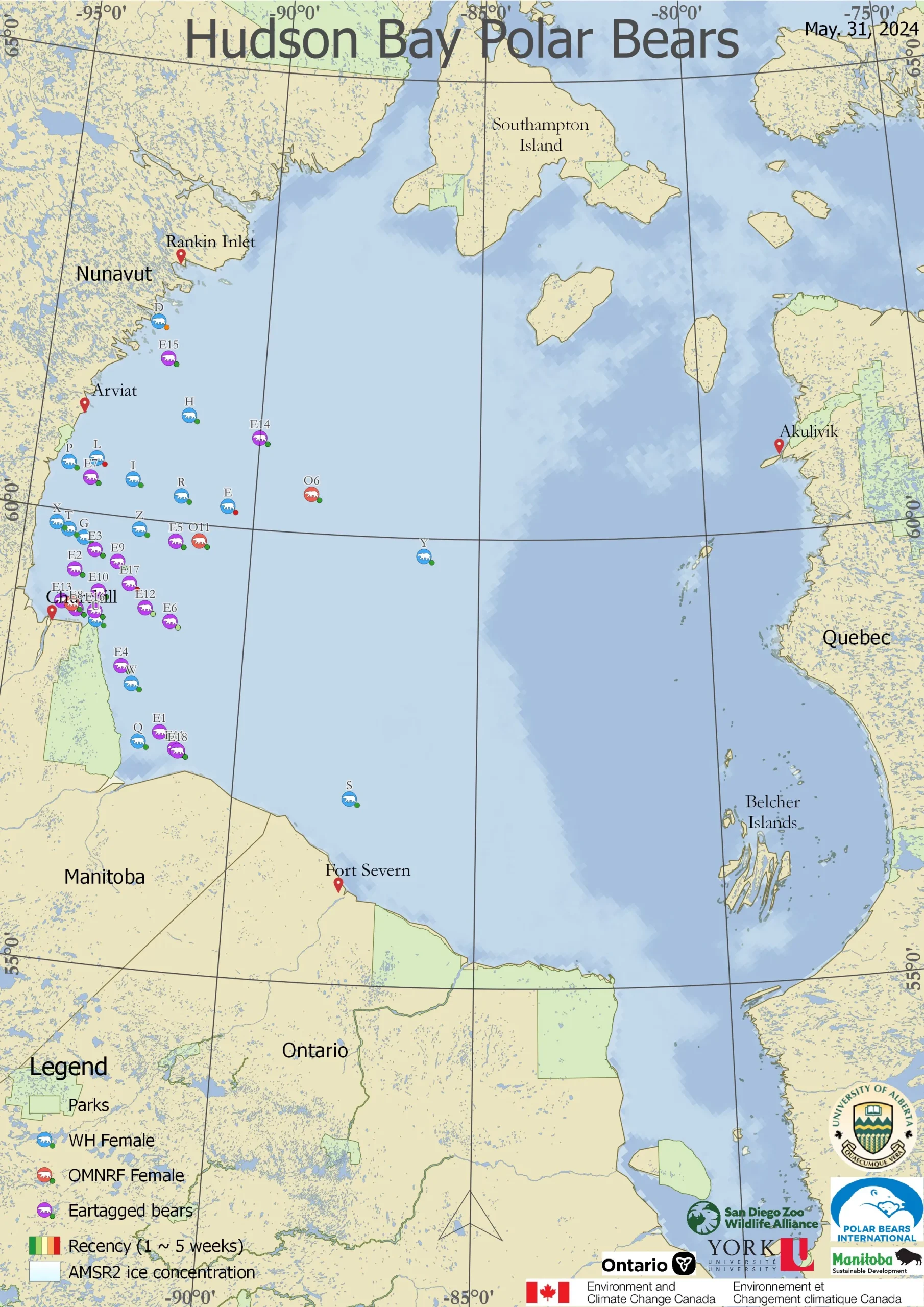 Derocher-2024-WH-tracking-map-at-May-31-2024 – Watts Up With That?